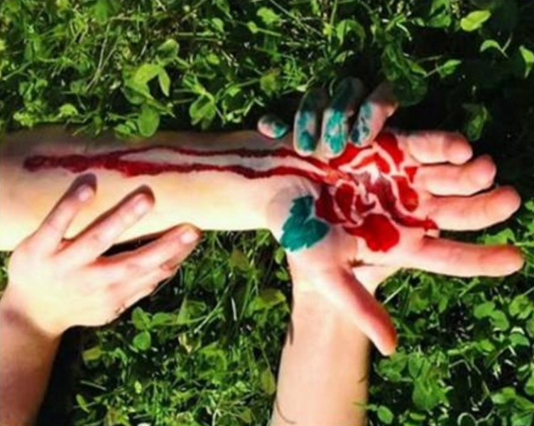 Coming Up Roses: Analysis of Visual Storytelling – The Kudzu Review